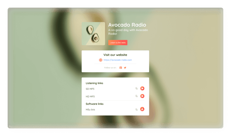 Multiple widgets to integrate your radio on the Internet - RadioKing